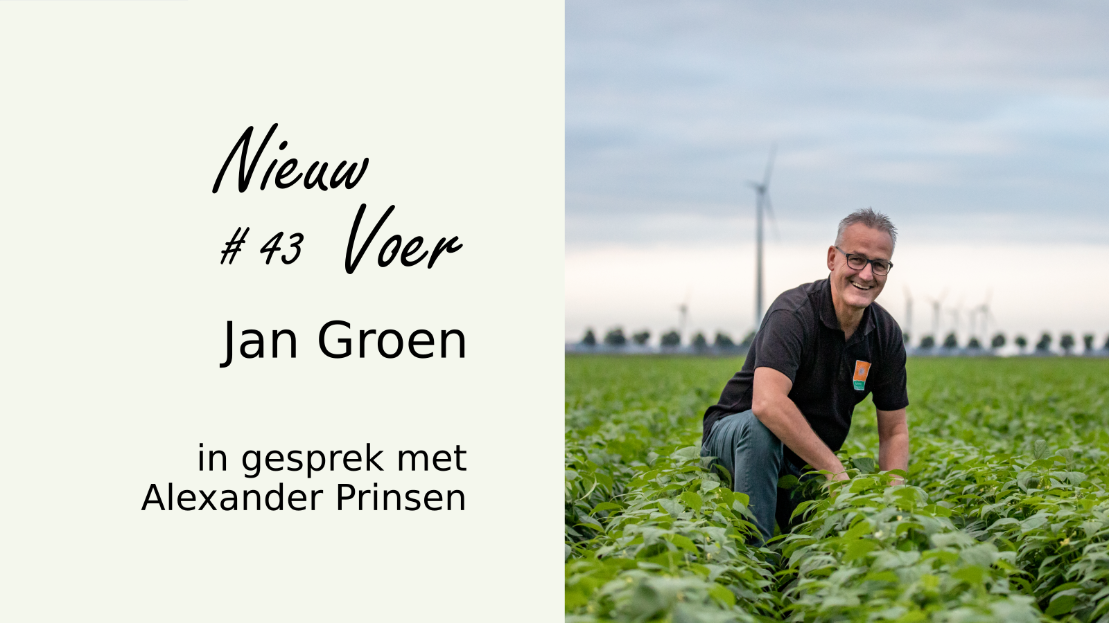 NV43 Jan Groen - Nieuw Voer